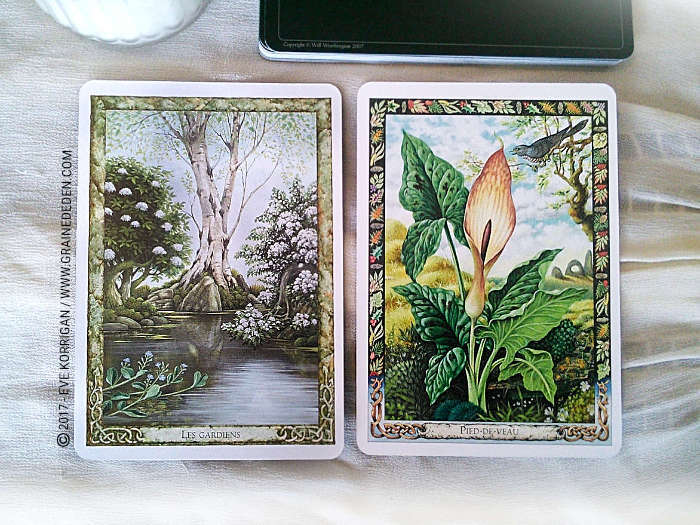 L'Oracle Druidique des Plantes de Philip et Stephanie Carr-Gomm