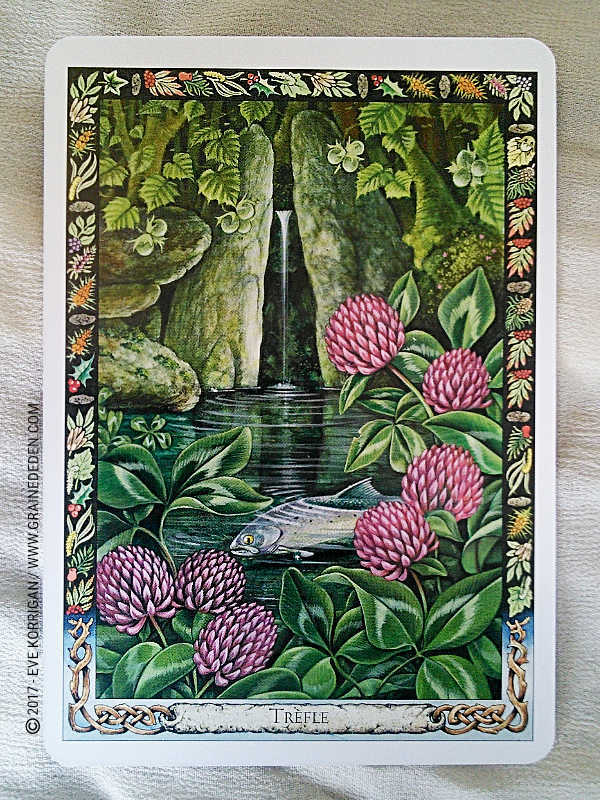 L'Oracle Druidique des Plantes de Philip et Stephanie Carr-Gomm