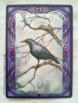 Wiccan Oracle cards de Nada Mesar et Lunaea Wheaterstone - Review