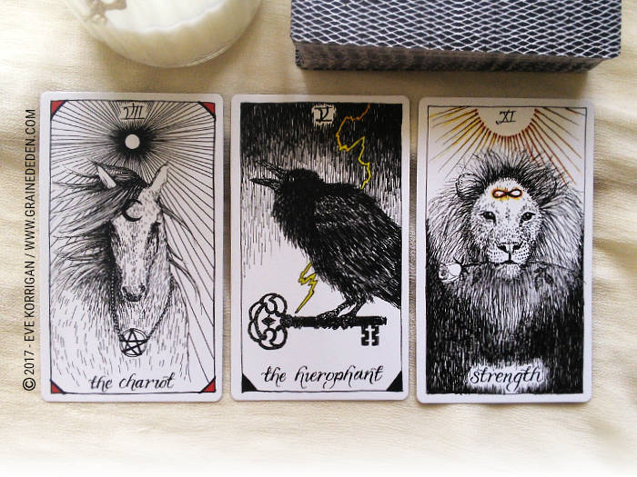 The Wild Unknown Tarot deck de Kim Krans - Avis et Review