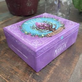 Le Petit Oracle de Merlin l'Enchanteur de Eve Korrigan - Review